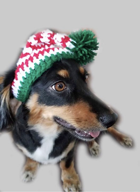 Ravelry: Dog Christmas Elf Hat With or Without Earflaps pattern by Just ...