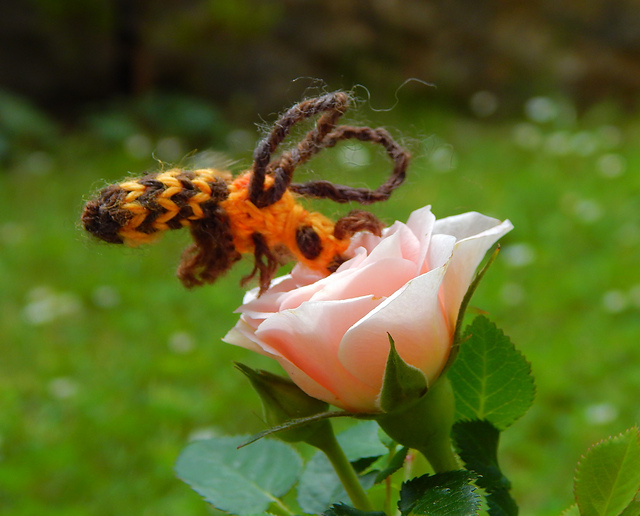 Ravelry: Little Bee pattern by Jeanette Stark