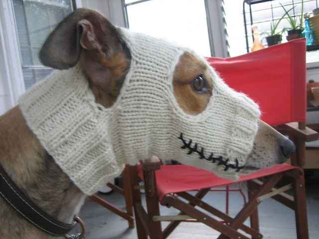 Ravelry: kmarissa's Bonehound