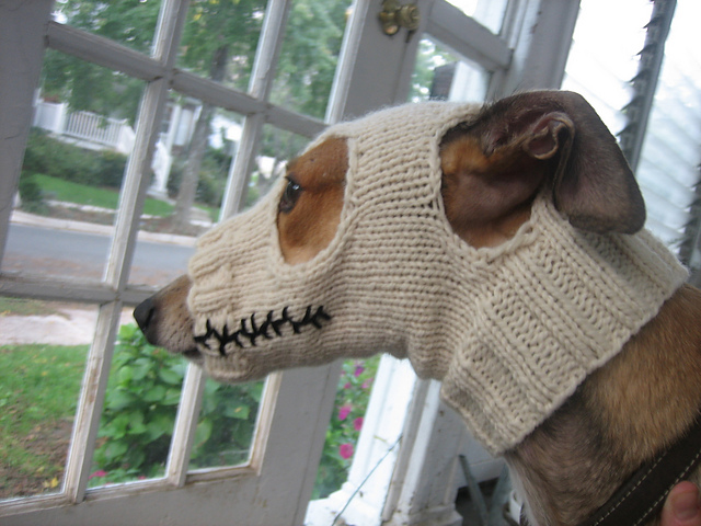 Ravelry: kmarissa's Bonehound