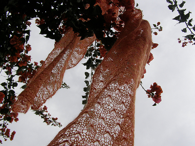 Ravelry: Hazy Paves Scarf pattern by Terry Ann Hagerman