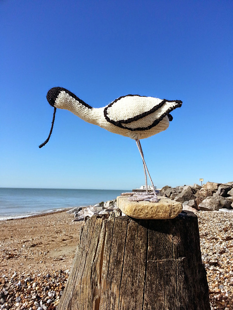 Ravelry: Avocet bird pattern by Nicky Fijalkowska Stewart