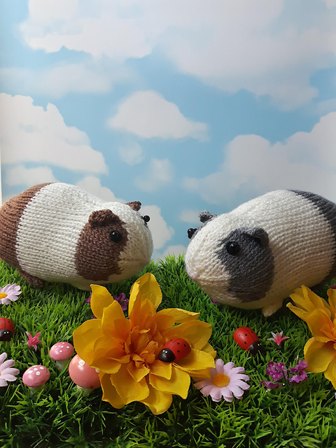 Ravelry: Guinea Pig pattern by Nicky Stewart