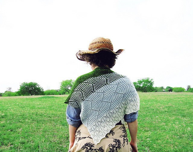 Ravelry: Y'all Shawl pattern by Lesley Anne Robinson