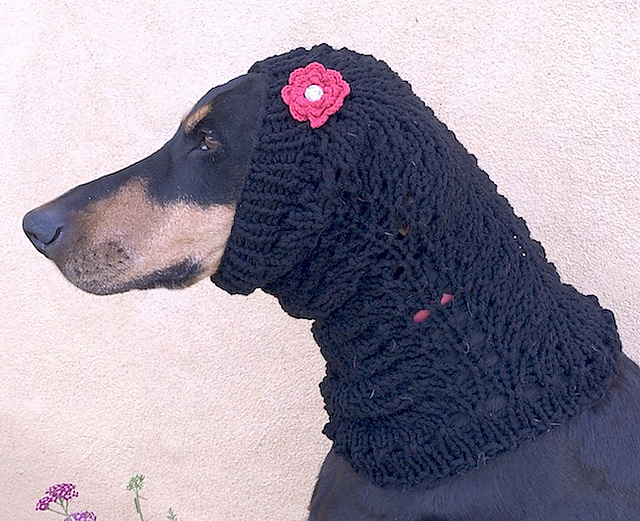 Ravelry: Lace Dog Snood pattern by Claudia Jones
