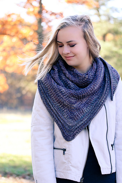 Ravelry: Courser Shawl pattern by Jennifer Dassau