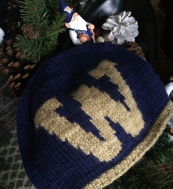 Ravelry: University of Washington Beanie Kit pattern by Melanie Cross