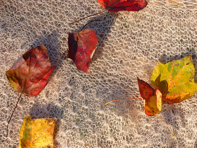 Ravelry: Brioche Architecture pattern by Kristy Howell