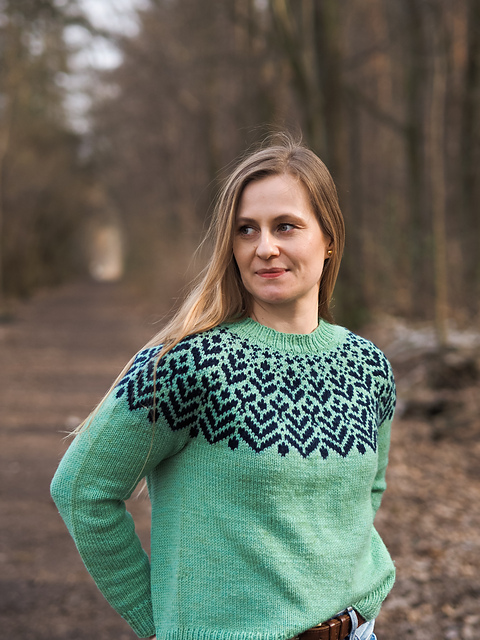 Ravelry: Polypody Sweater DK pattern by Karolina Adamczyk