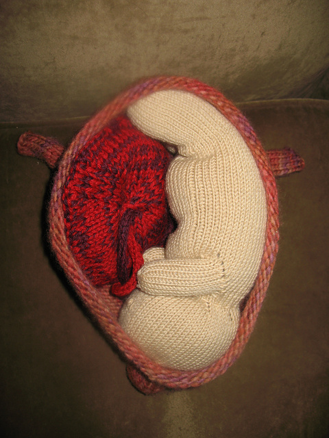 Ravelry: ladyladyjane's Womb with a View; or The Detachable Fetus Project