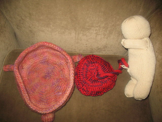Ravelry: ladyladyjane's Womb with a View; or The Detachable Fetus Project