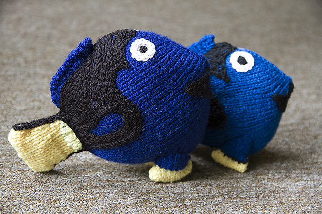 Ravelry: Dory pattern by Dolly Laishram Bhardwaj