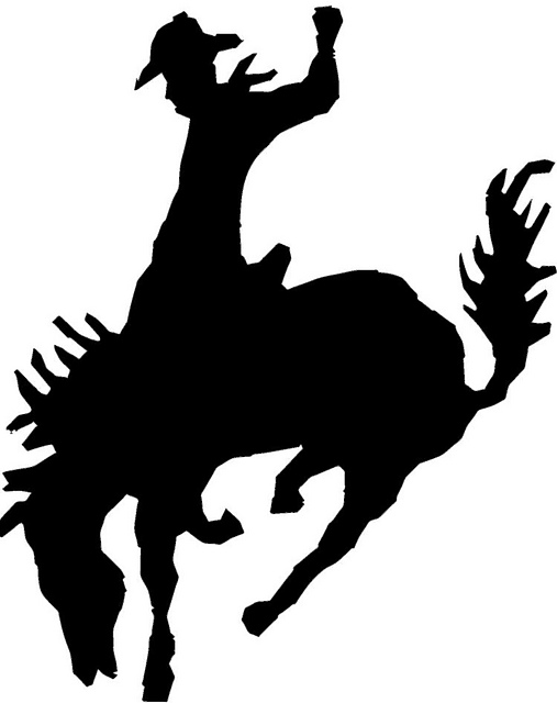Ravelry: Bronco Rider Chart pattern by Lea Barrick
