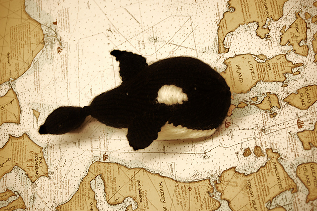 Ravelry: Oedipus the Orca pattern by Ali Tong