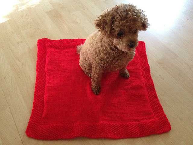 Ravelry: Simple Rug Snuggle pattern by Rae French