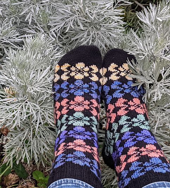 Ravelry: Flowers for a friend socks pattern by Lorraine Rayson