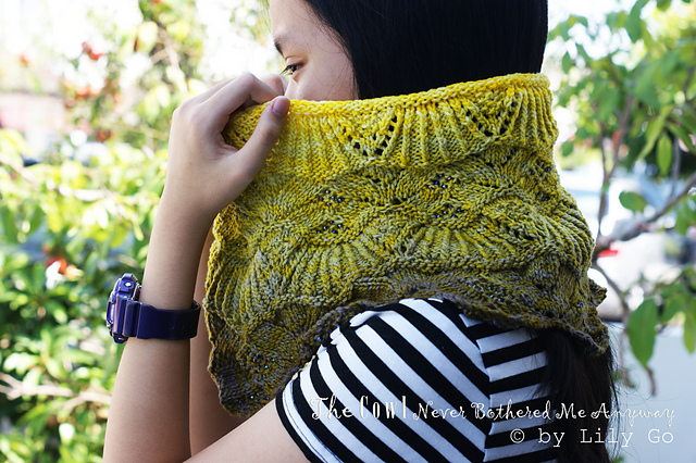 Ravelry: The Cowl Never Bothered Me Anyway pattern by Lily Go