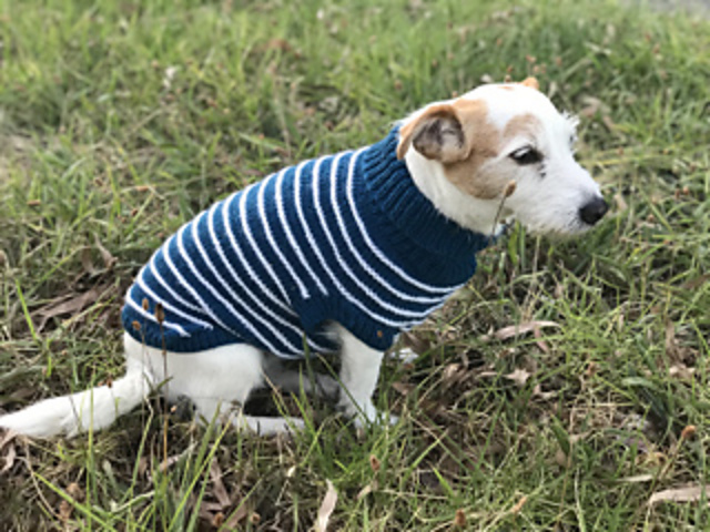 Ravelry: Dog Stripe Sweater pattern by Christine Grant