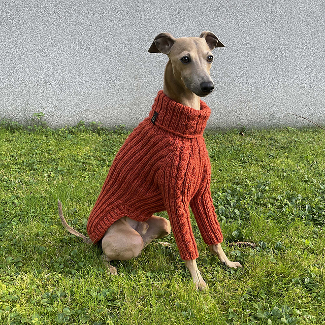 Ravelry: Dog Sweater ACRI CABLE pattern by Majda Smolnikar