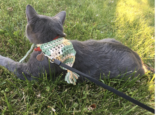 Ravelry: Pet Bandanna, Bohemian Inspired pattern by Maria Snyder