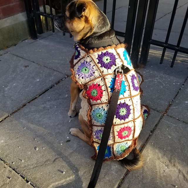 Ravelry: Willow Dog Coat pattern by Maytina Shank