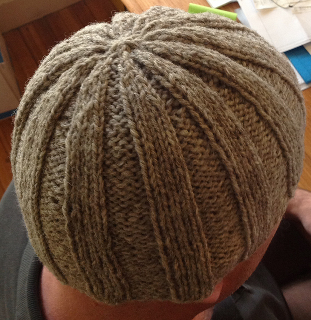 Ravelry: One Skein Ribbed Hat pattern by frabjous fibers