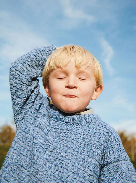 Ravelry: 2301-05 Roar Genser pattern by Sandnes Design