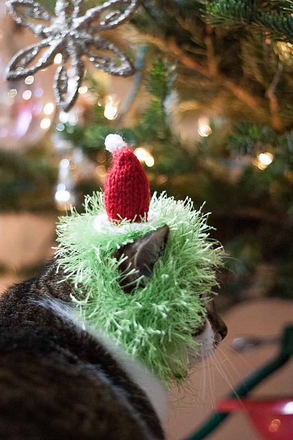 Ravelry: A Very Grumpy Cat Hat pattern by Sara Thomas