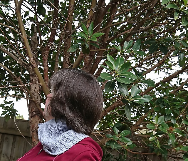 Ravelry: Morilla Cowl pattern by Tracey Lee