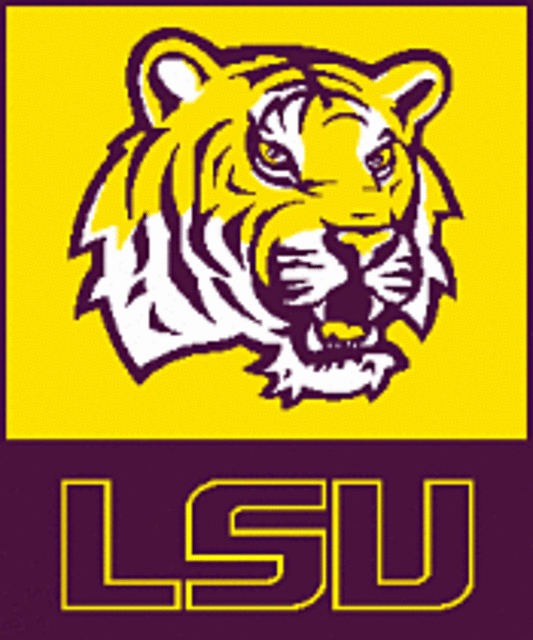 Ravelry: Inspired by LSU Tigers pattern by Jessica Davis