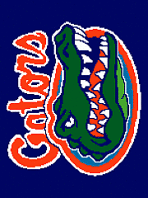 Ravelry: Florida Gators pattern by Jessica Davis