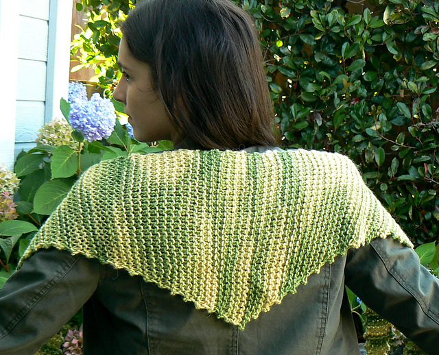 Ravelry: Picot Edged Baktus pattern by Renee Van Hoy