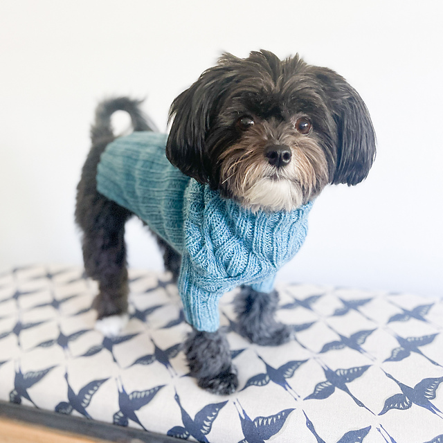 Ravelry: mossmermaid's Botanical Yoke Dog Sweater