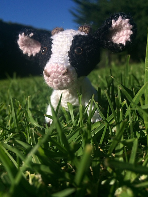 Ravelry: Lissy moo Crochet Cow pattern by Melissa Peachey