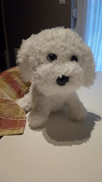 Ravelry: musicatalina's Cockapoo