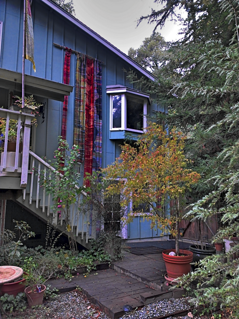 Ravelry: nickolena's saori weaving banner installation 2012