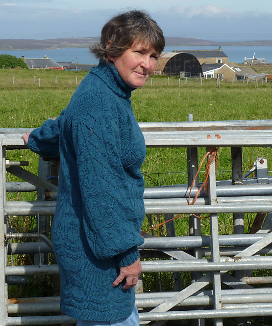 Ravelry: Dolphin GanseyTunic pattern by Elizabeth Lovick