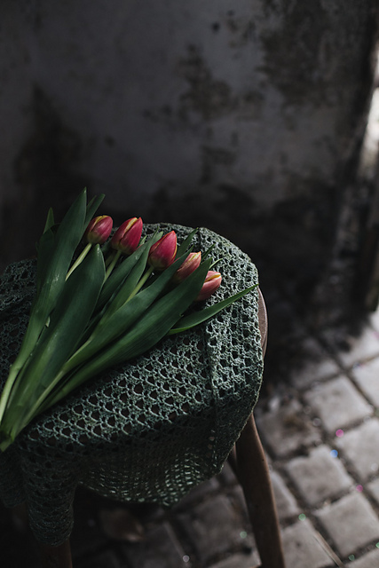 Ravelry: Altair pattern by Joanne Scrace