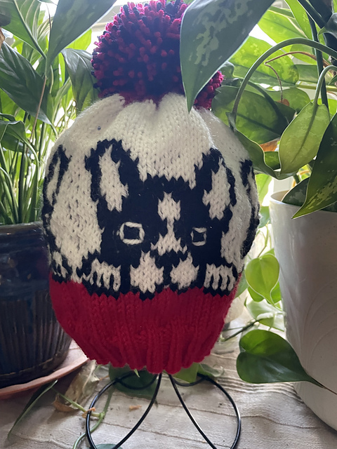 Ravelry: June Hat: French Bulldog pattern by Susan Gressman