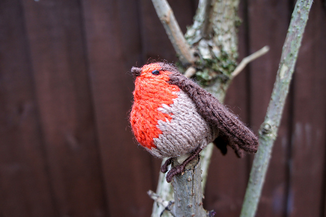 Ravelry: Christmas Robin Bird pattern by Paola Moore