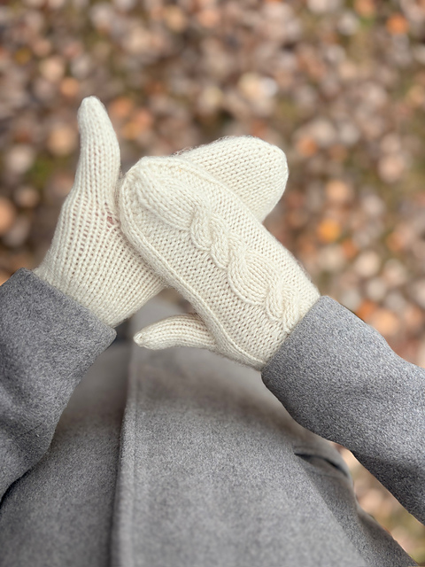 Ravelry: Winter Braid Mittens pattern by Paulina Bedla