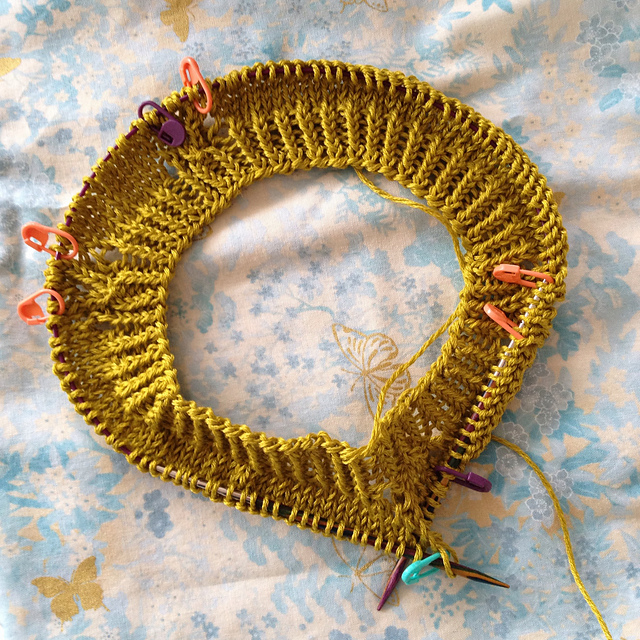 Ravelry: casti's Rondeur - Eweknit Make along