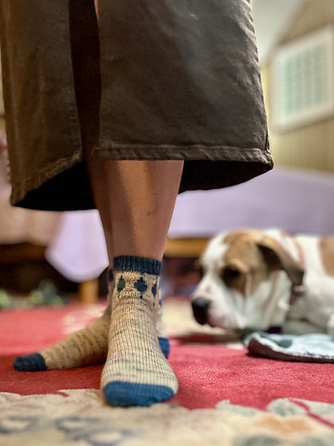 Ravelry: Baby Dino Egg Socks pattern by Conley Kinkead