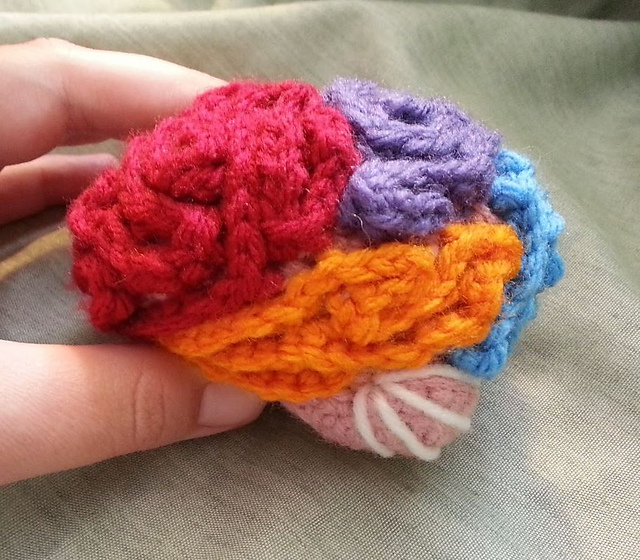 Ravelry: Human Brain Lobe Model pattern by Erica McBride