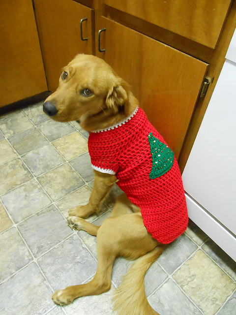 Ravelry: pierce39's Christmas Dog Sweater