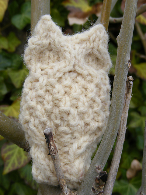 Ravelry: Oisin owl pattern by Pauline Gallagher Designs