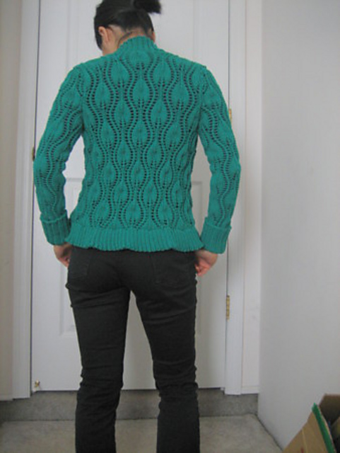 Ravelry: pooki's Evergreen