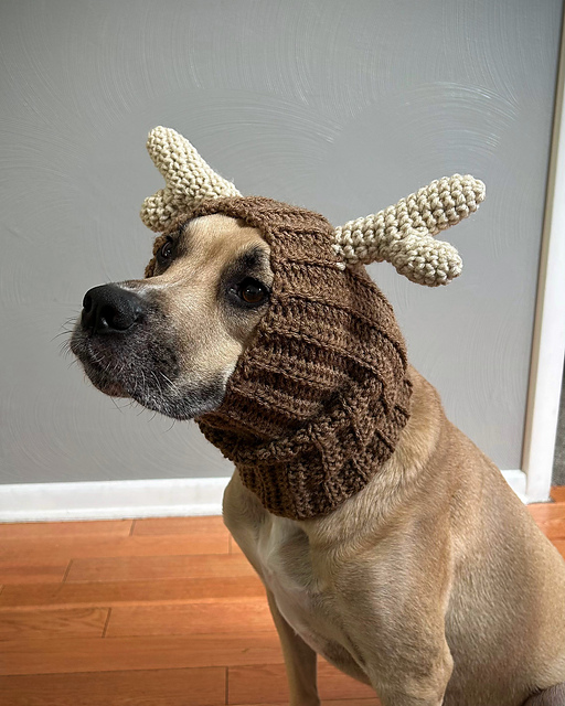 Ravelry: Deer Dog Snood pattern by Rachel Wisneski