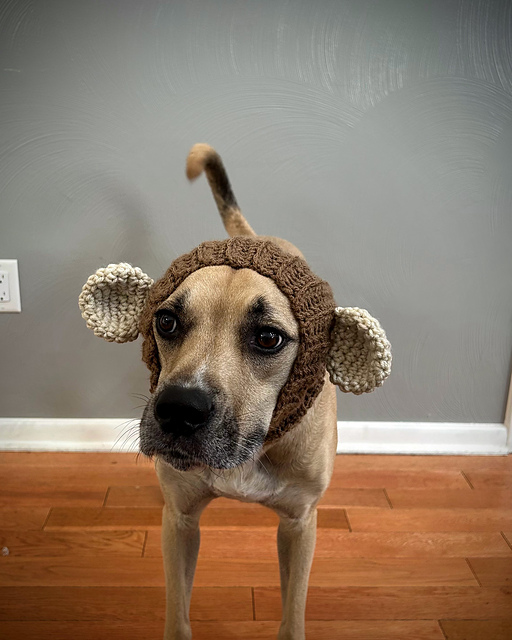 Ravelry: Monkey Dog Snood pattern by Rachel Wisneski