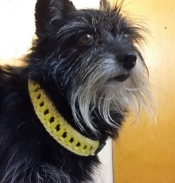 Ravelry: Easy Dog Collar² pattern by Rebecca Mathes